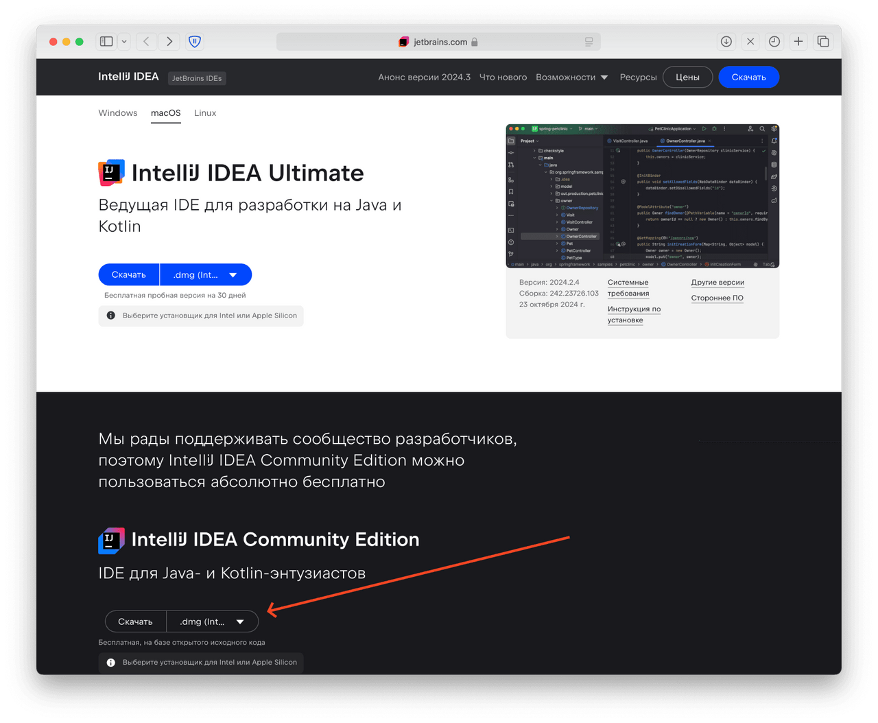 Как скачать IntelliJ IDEA – Community и Ultimate Edition версии